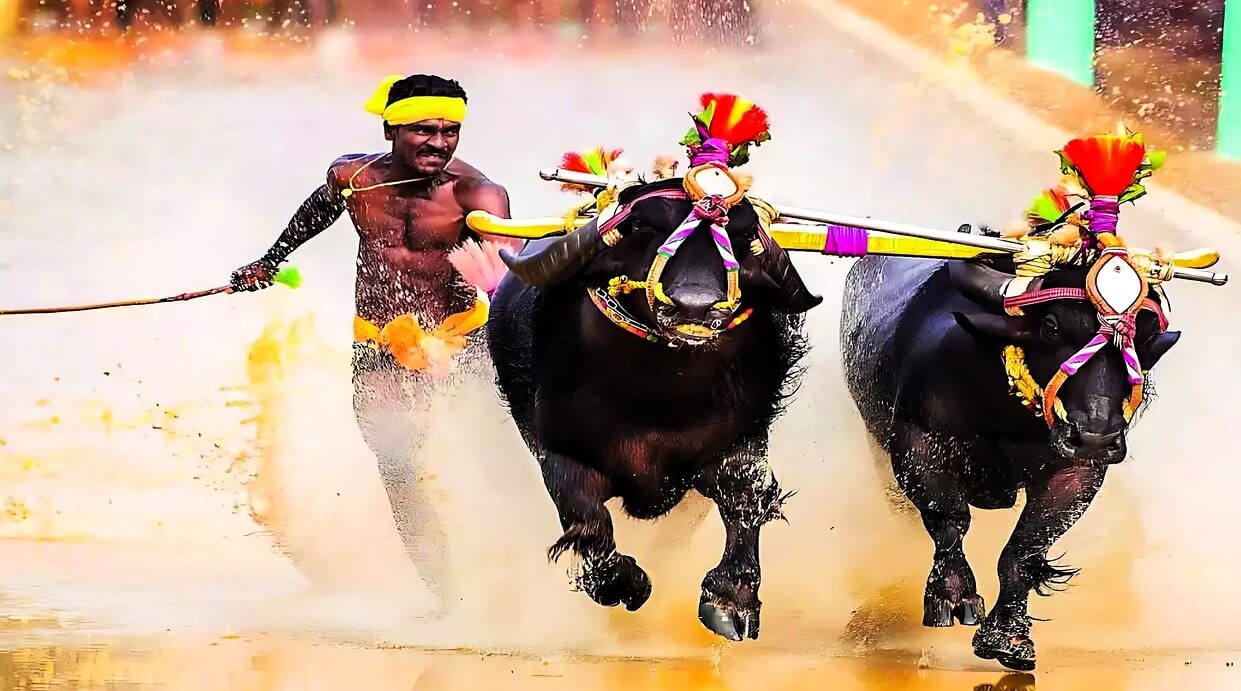 Popular Festivals of Karnataka: A Celebration of Culture and Tradition