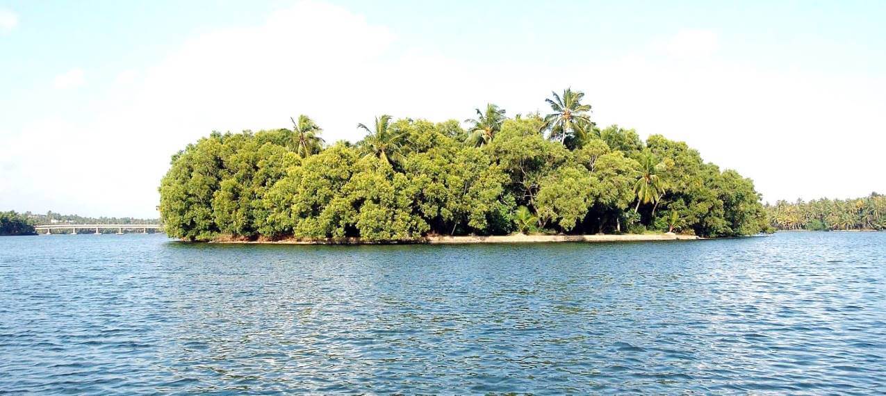 Discover Varkala: Kerala's Cliffside Paradise - Vardhman Vacations