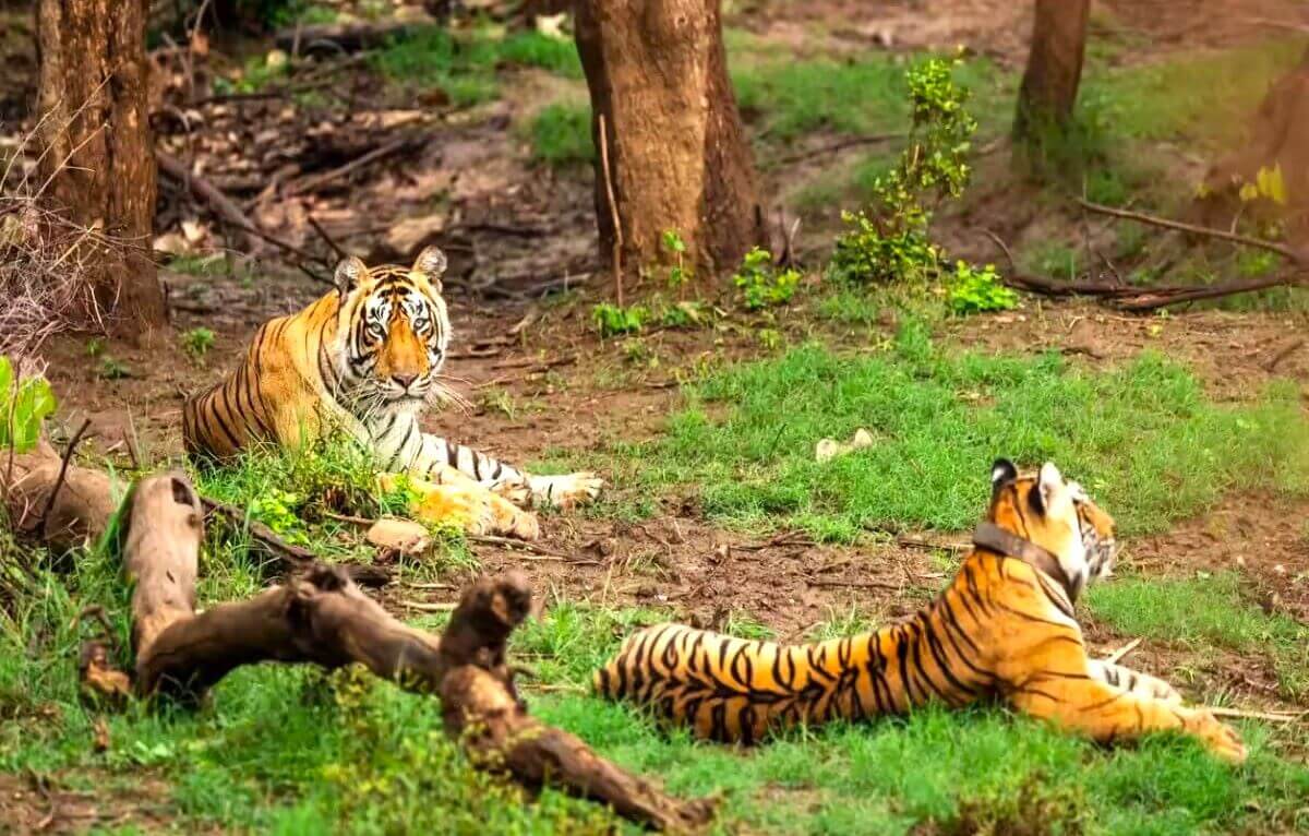 Top Places to Visit in Bihar | Historical & Cultural Tourist Attractions
