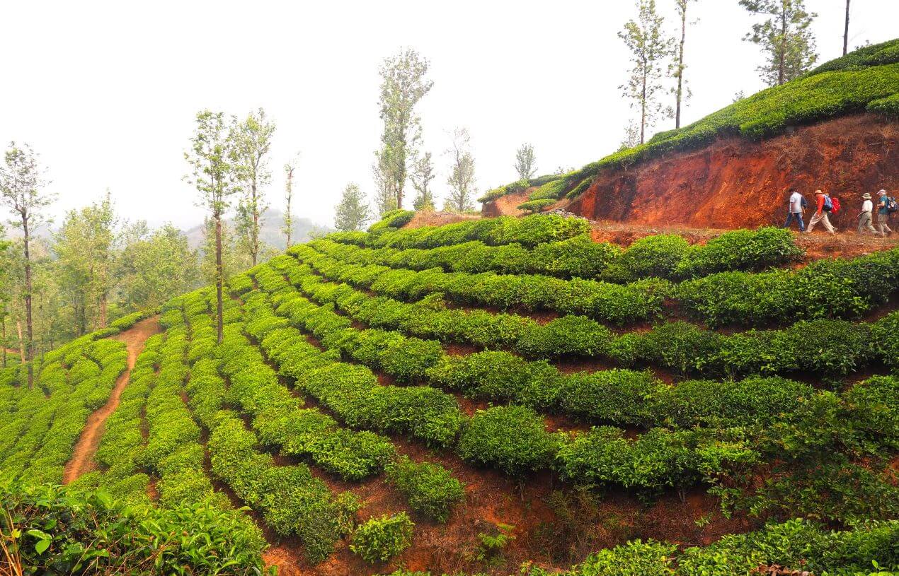 20 Best Places to Visit in India in October