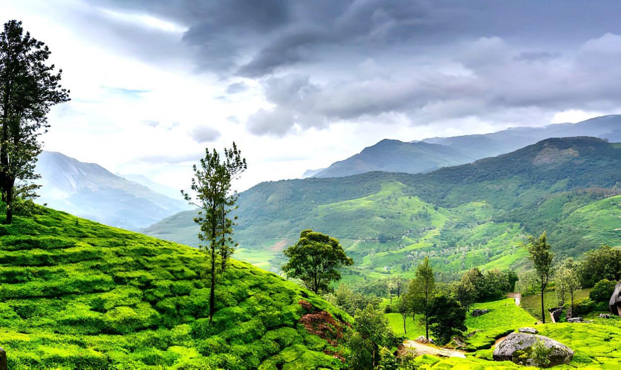 11 Best Places to Visit in Kerala This Winter 2025